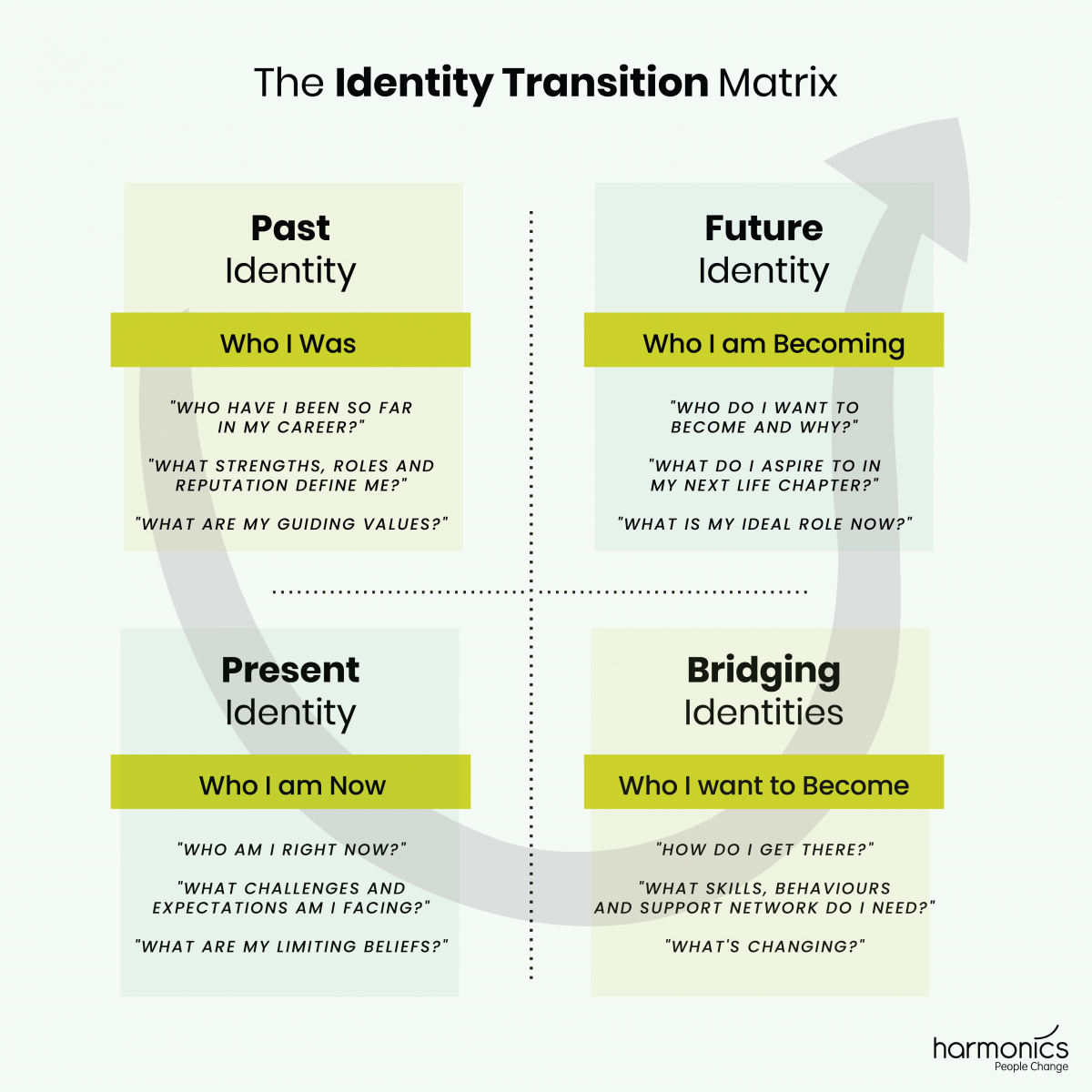 Executive Identity Stripped Bare - Harmonics